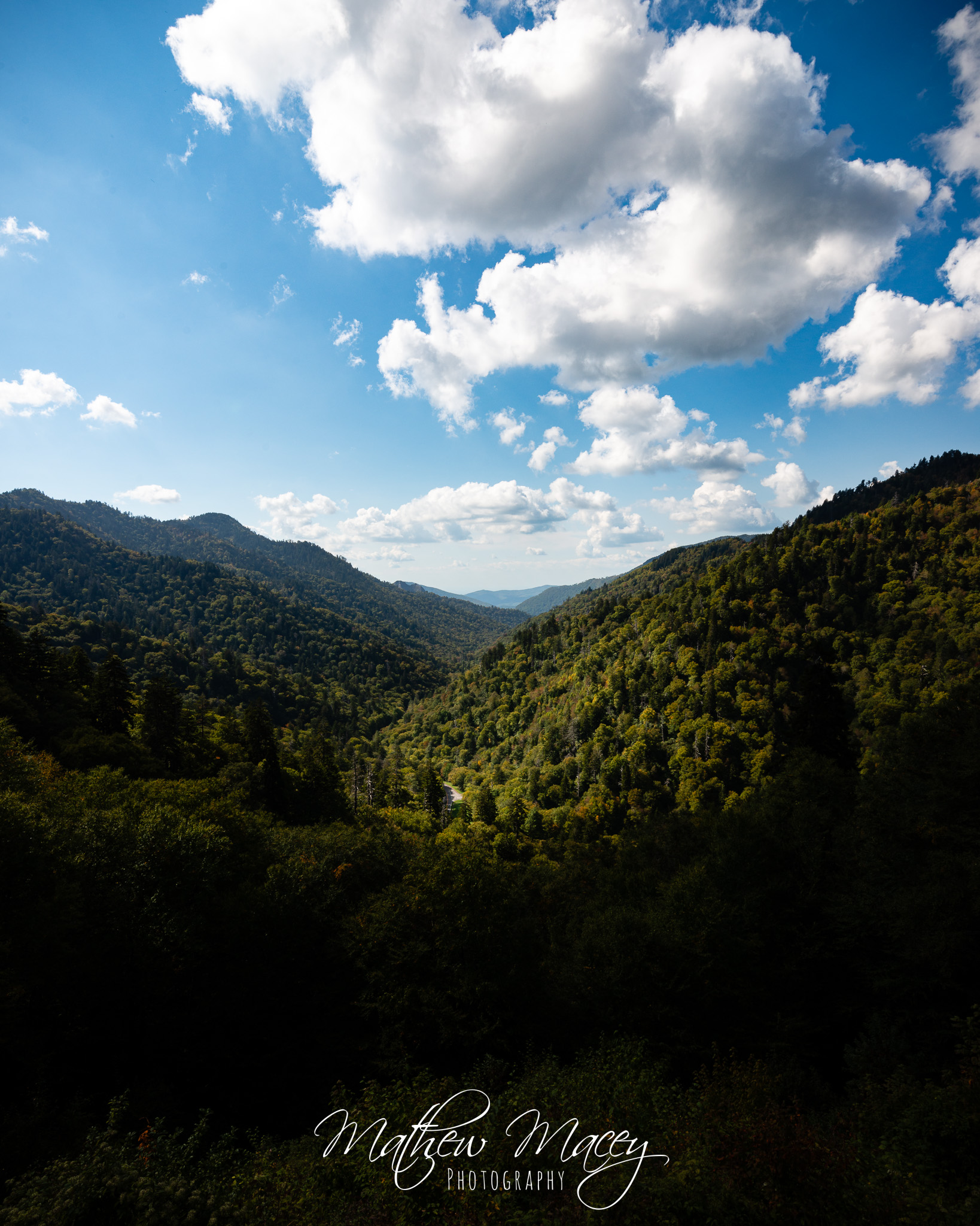 Home - Mathew Macey Photography